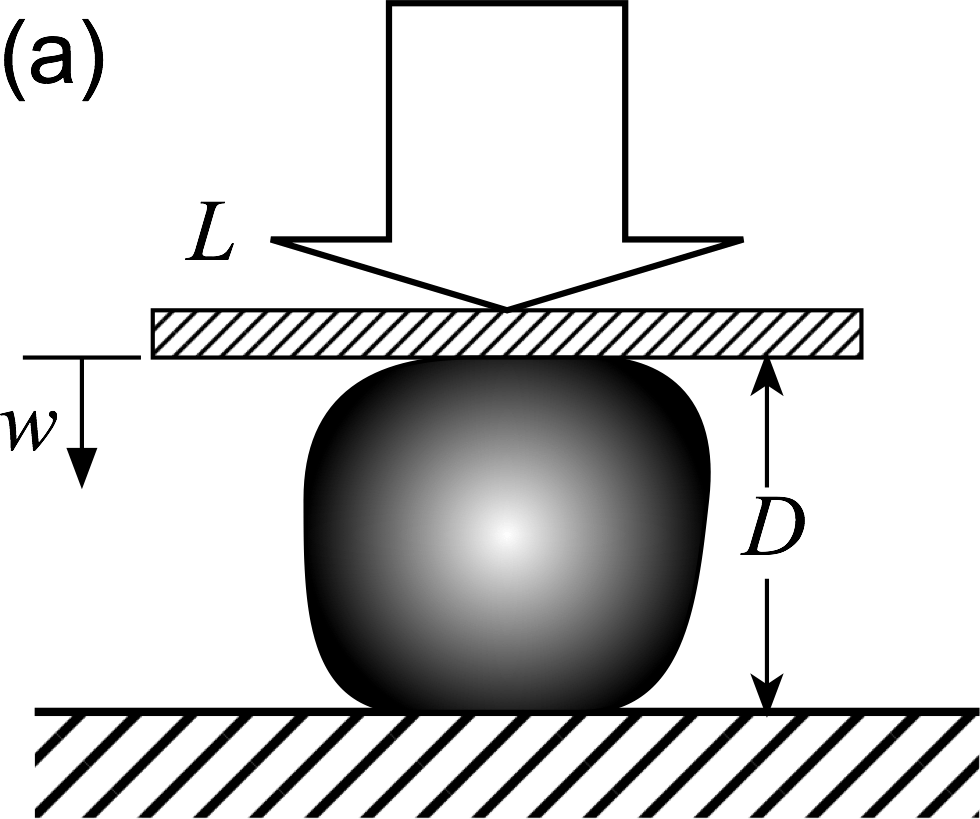 Particle Strength – Fracture